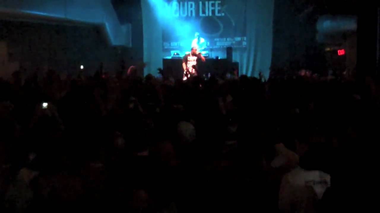 Artist 116 | Reach Records